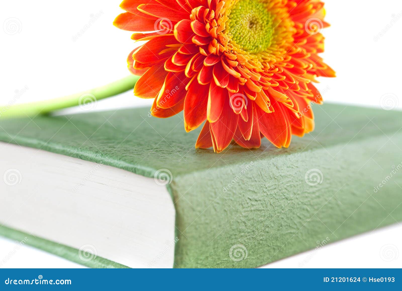 Flower book stock photo. Image of botanical, floral, bloom - 21201624