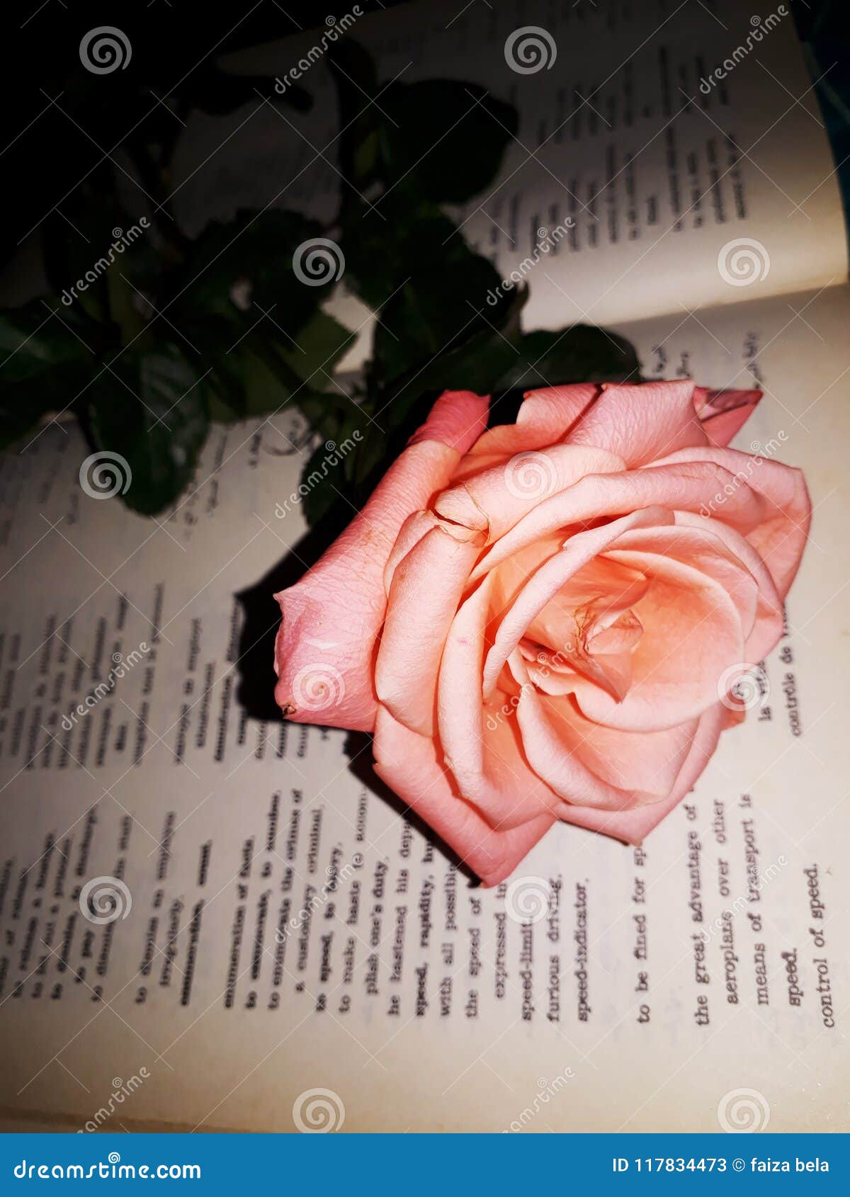 Flower book dictionary editorial stock photo. Image of library - 117834473