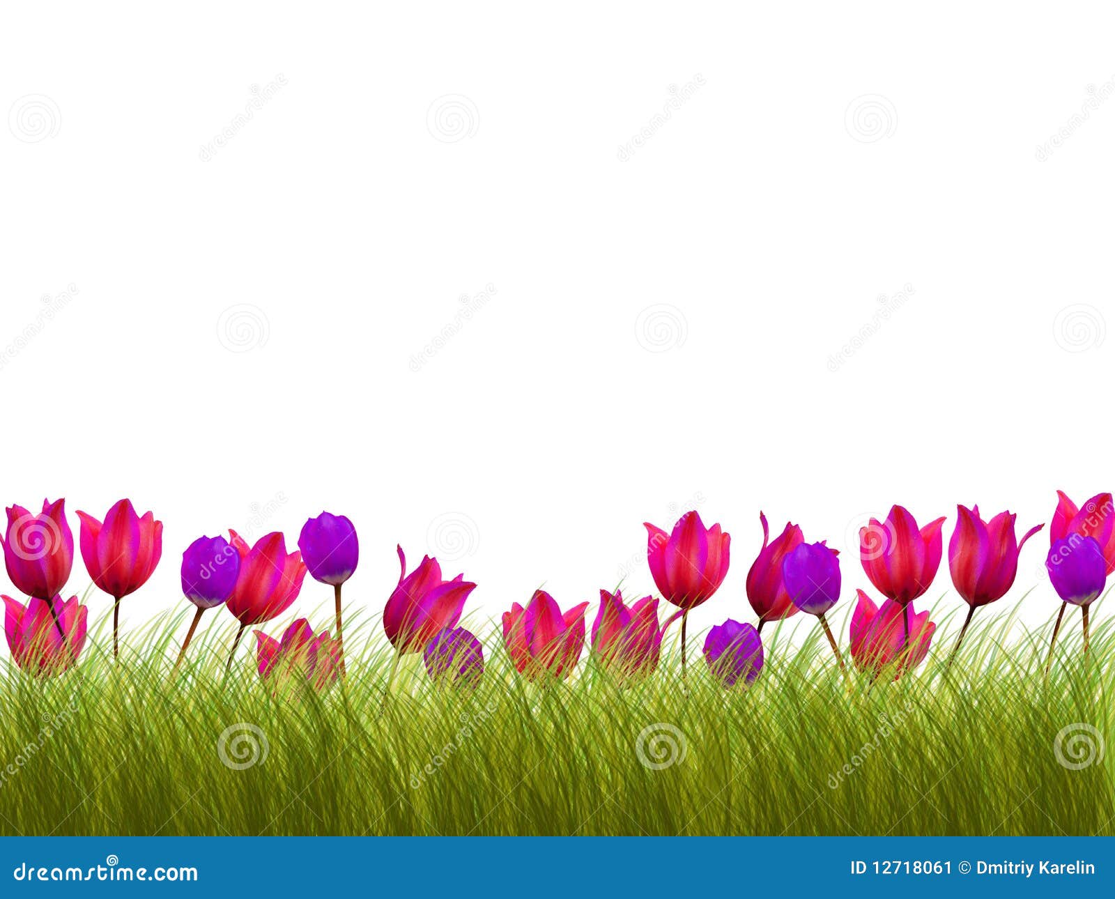 Flower Border Stock Image - Image: 12718061