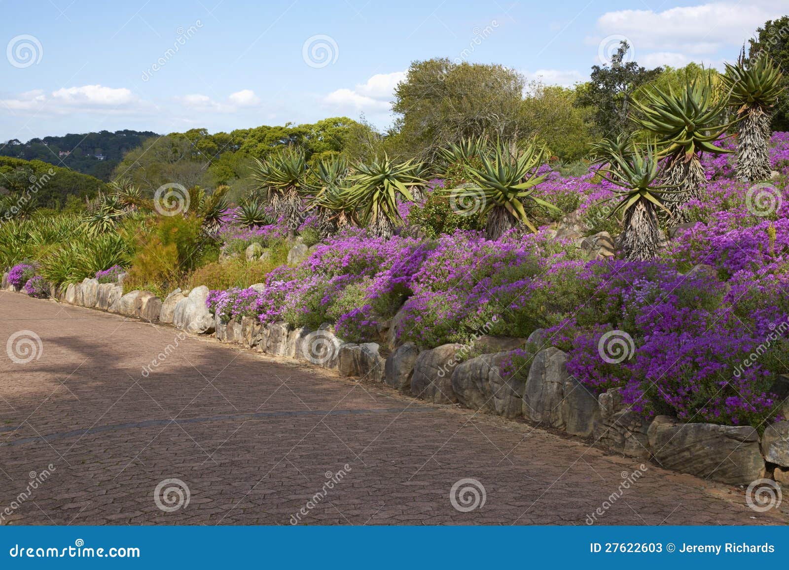 Flower border stock image. Image of attraction, bosch - 27622603