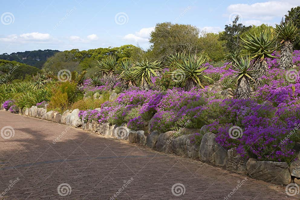 Flower border stock image. Image of attraction, bosch - 27622603