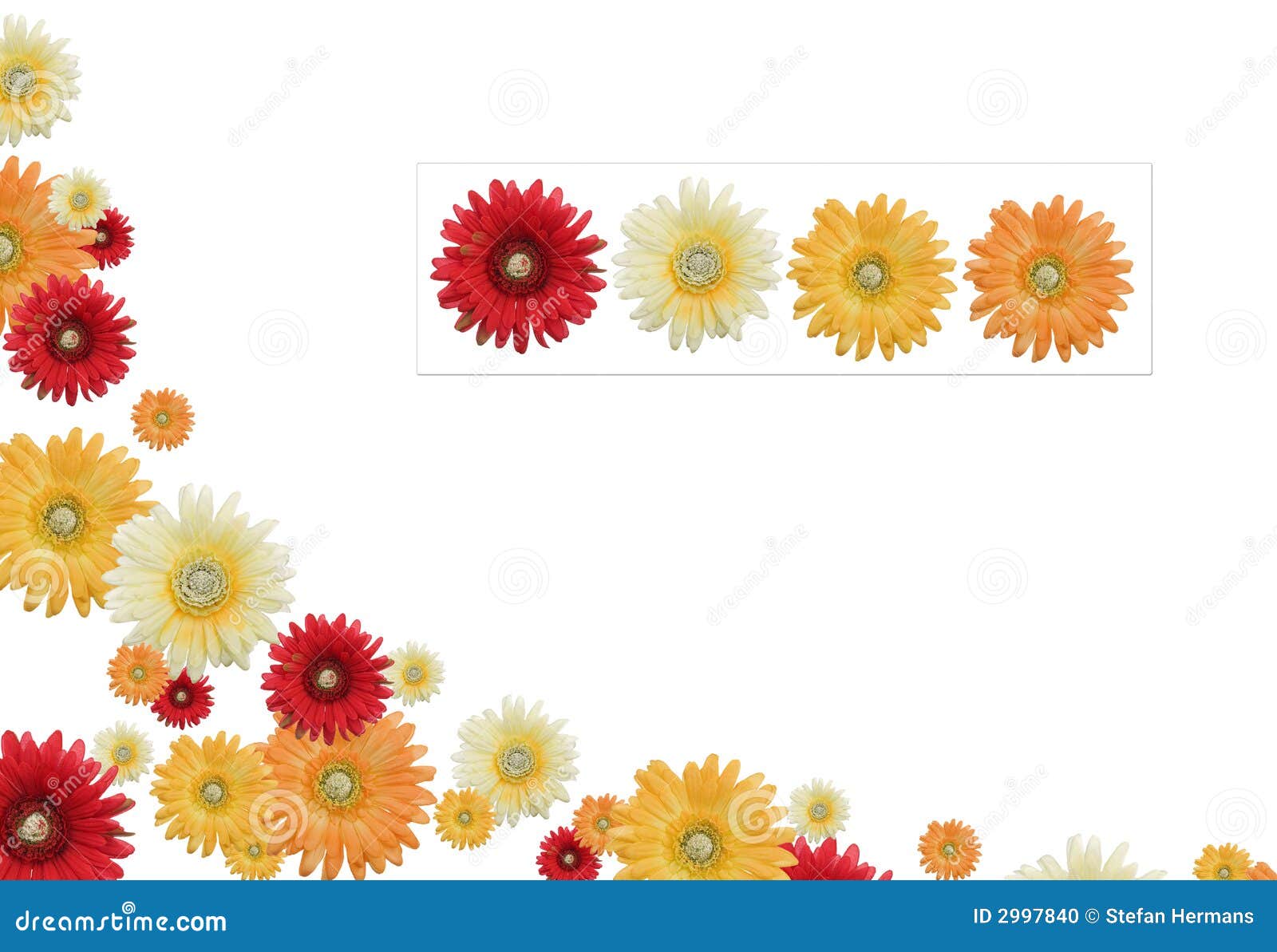 Flower Border Stock Photo - Image: 2997840