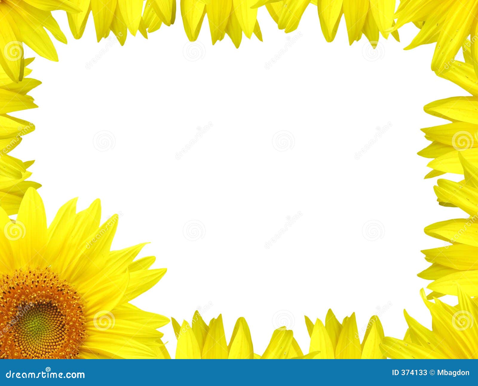 Flower Border Stock Photos - Image: 374133