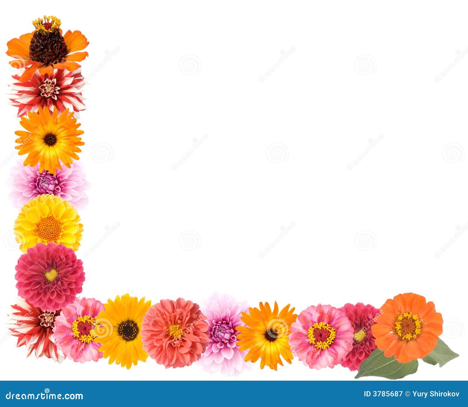 Flower Border Stock Image | CartoonDealer.com #20524267