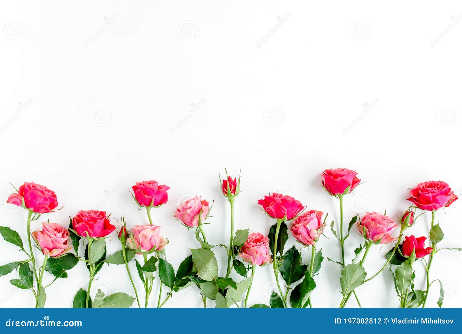 Red And White Roses Frame