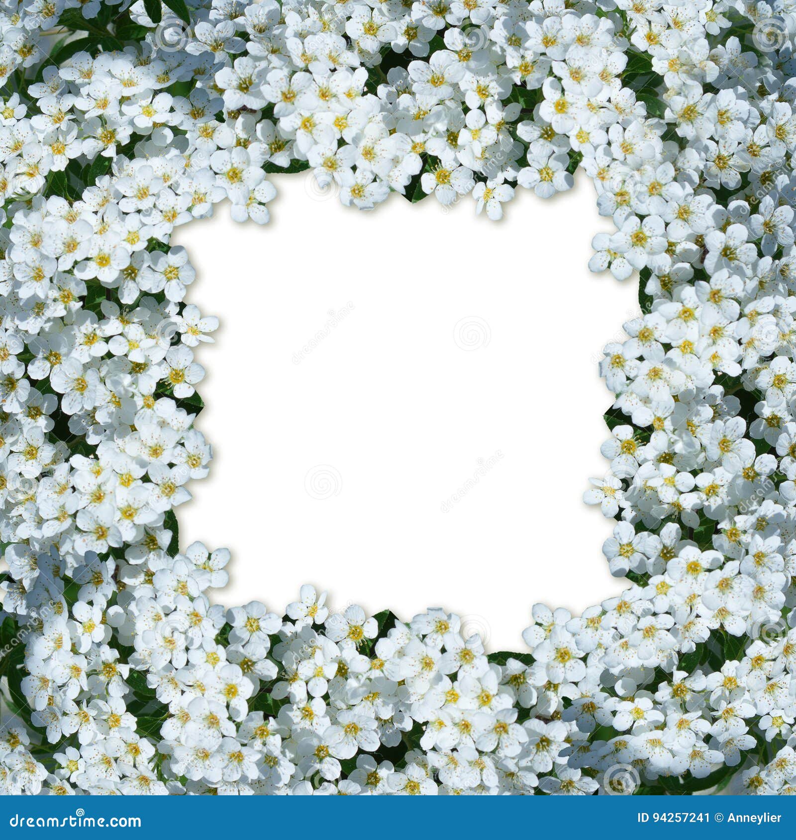 Flower border stock image. Image of white, background - 94257241
