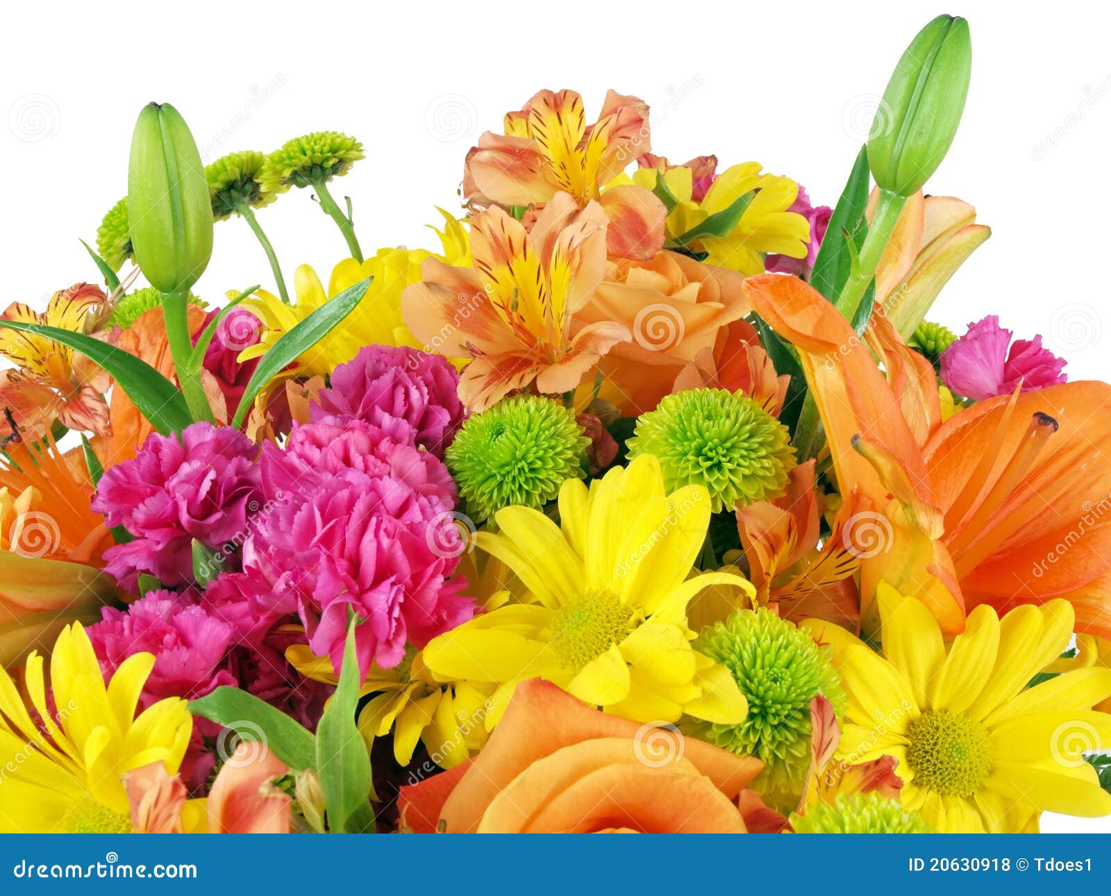 Flower bouquet background stock photo. Image of daisy - 20630918