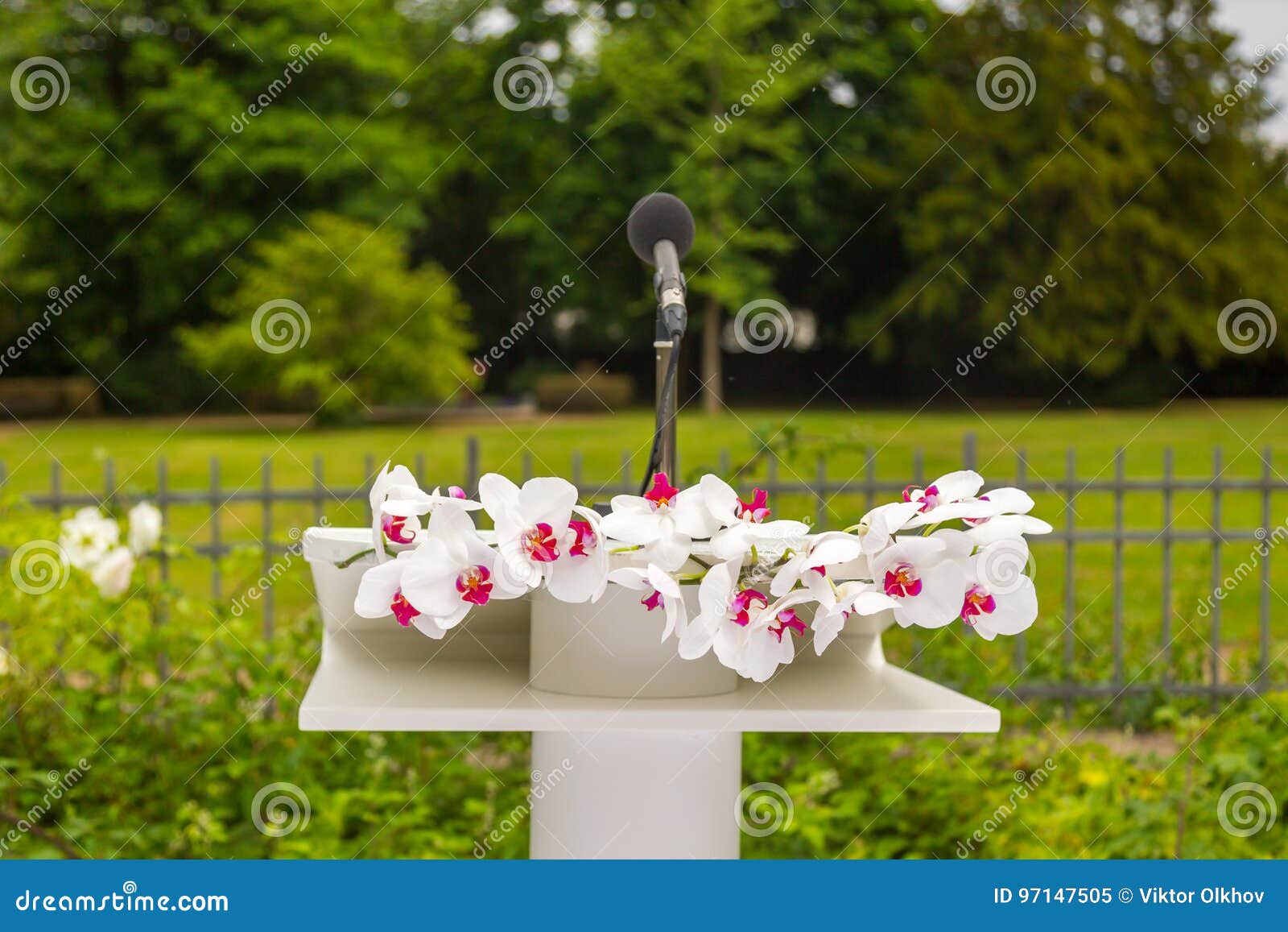 Flower Bouquet and Microphone on Stage Stock Image - Image of ...