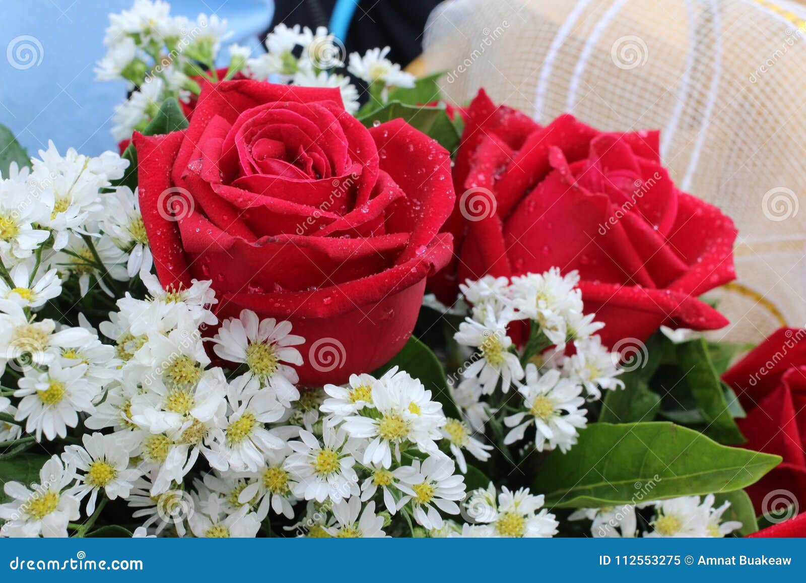 Flower Bouquet Red Roes Valentine Stock Image - Image of nature, gift ...