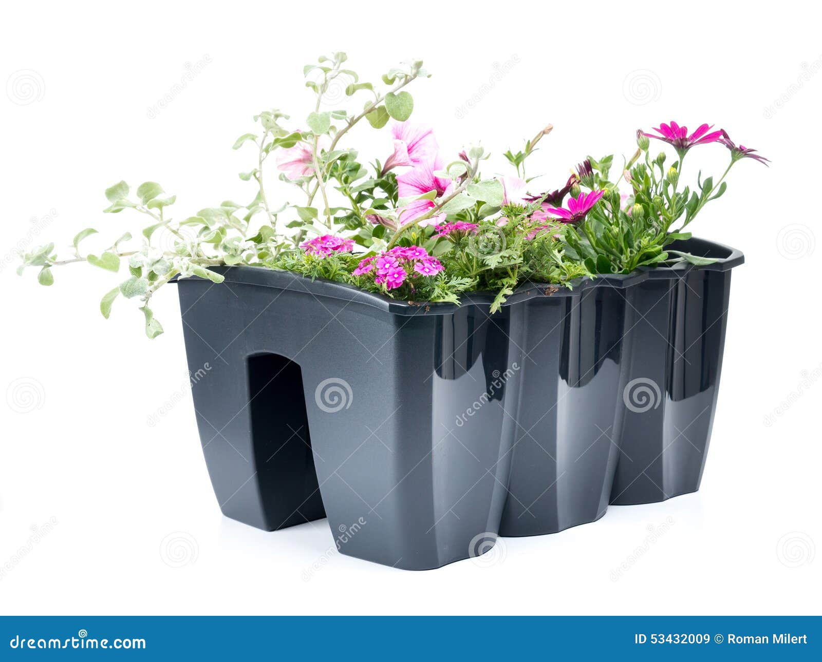 Flower box stock image. Image of gardening, blooming - 53432009