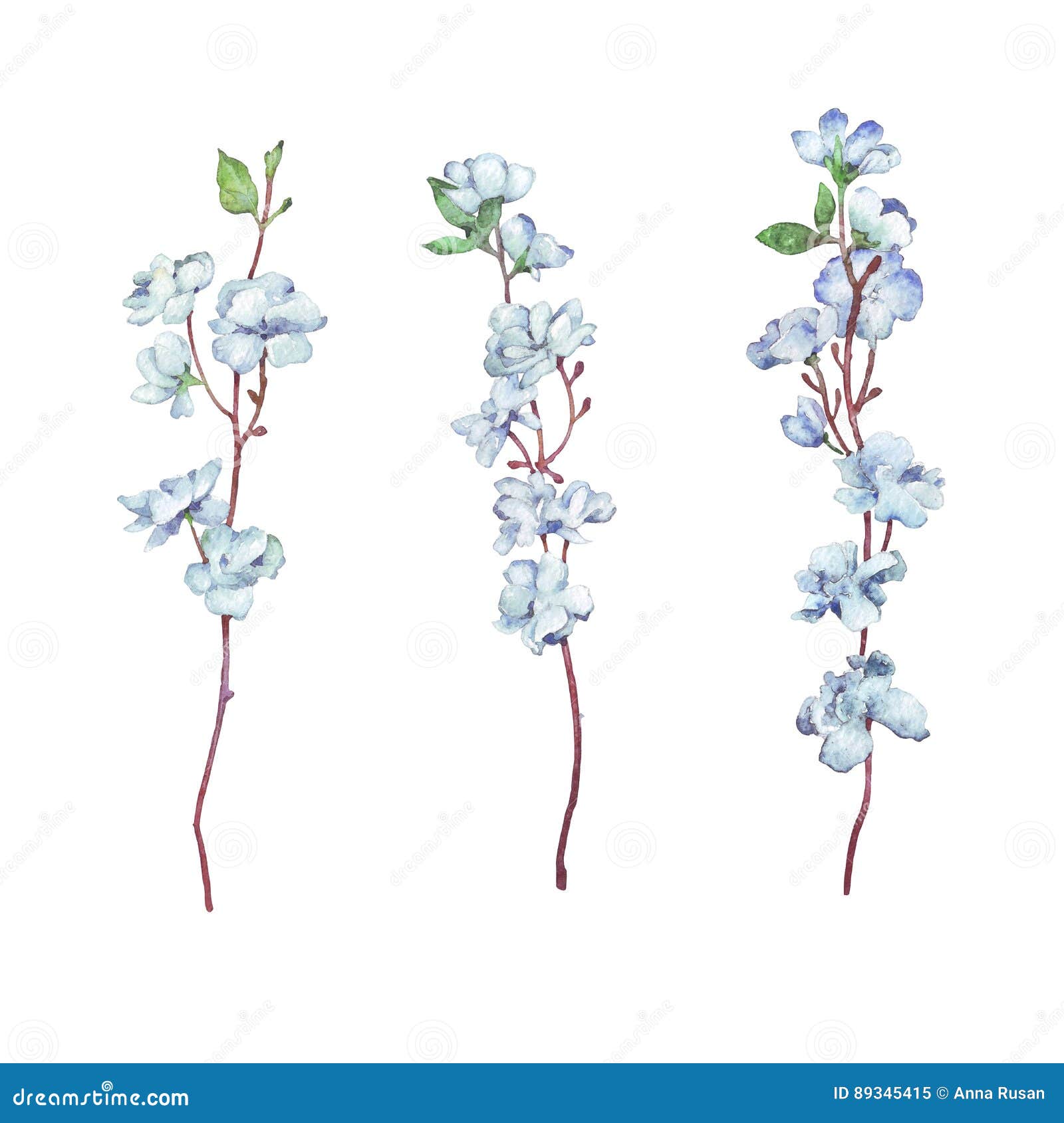 Flower Branch on white stock illustration. Illustration of decoration ...