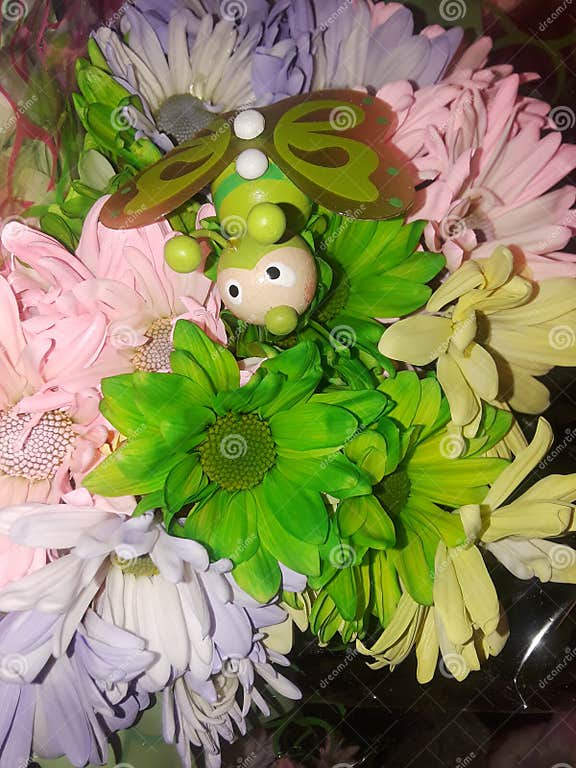 Flower bug stock photo. Image of flowers, bloom, flower - 137553404