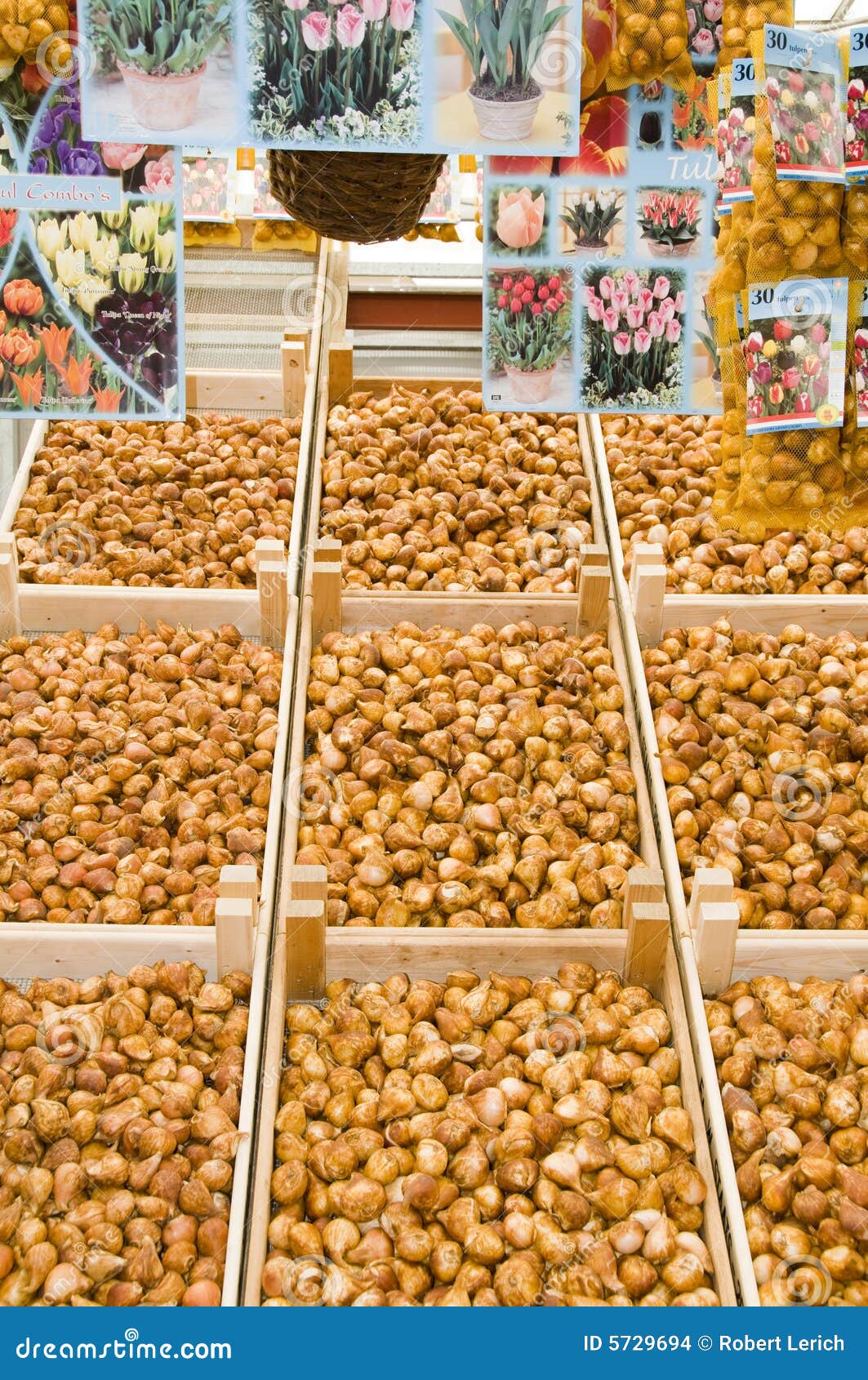 Flower Bulb Store Flower Market Amsterdam Stock Photo - Image of store ...