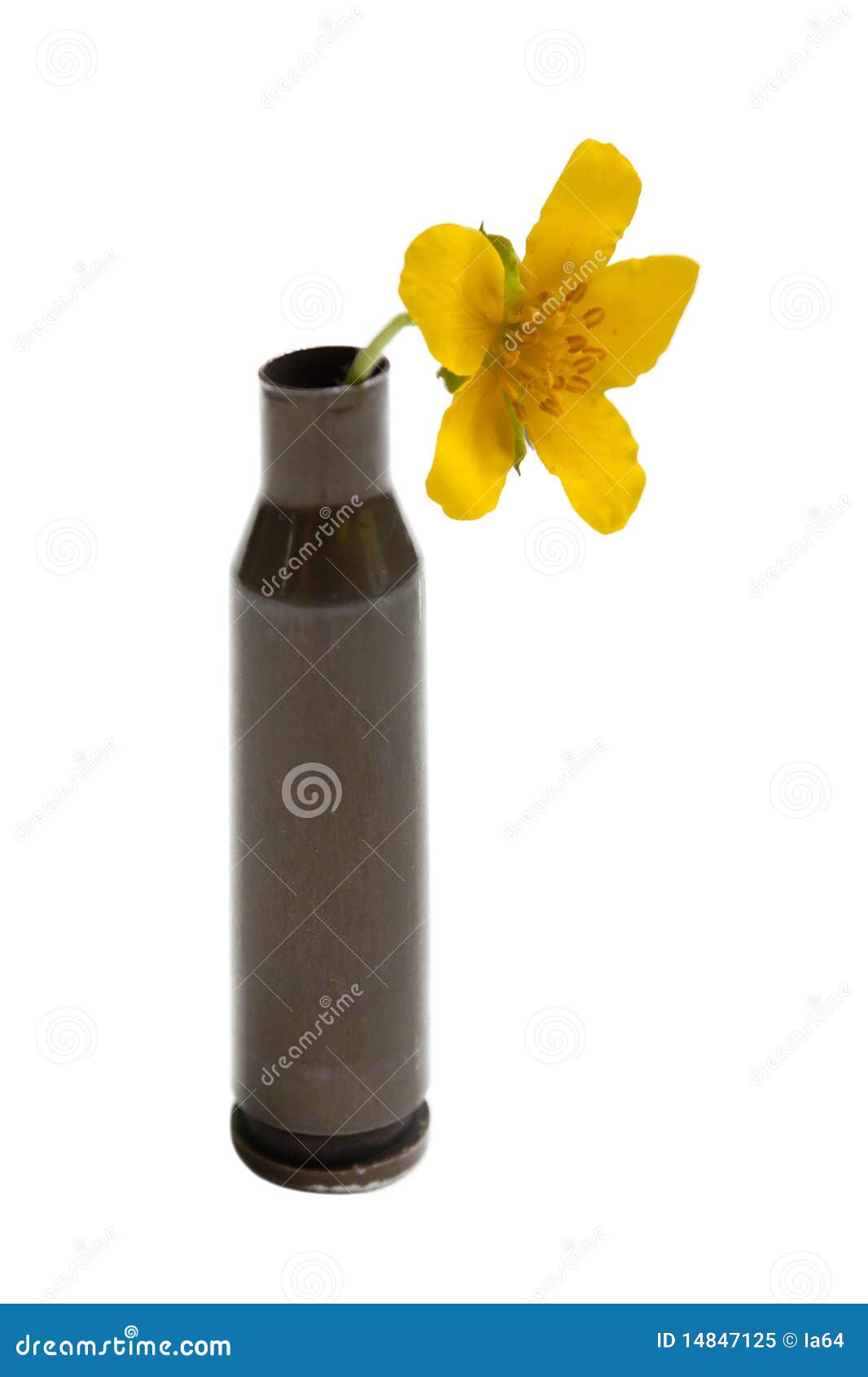 Flower in bullet stock image. Image of cartridge, military - 14847125