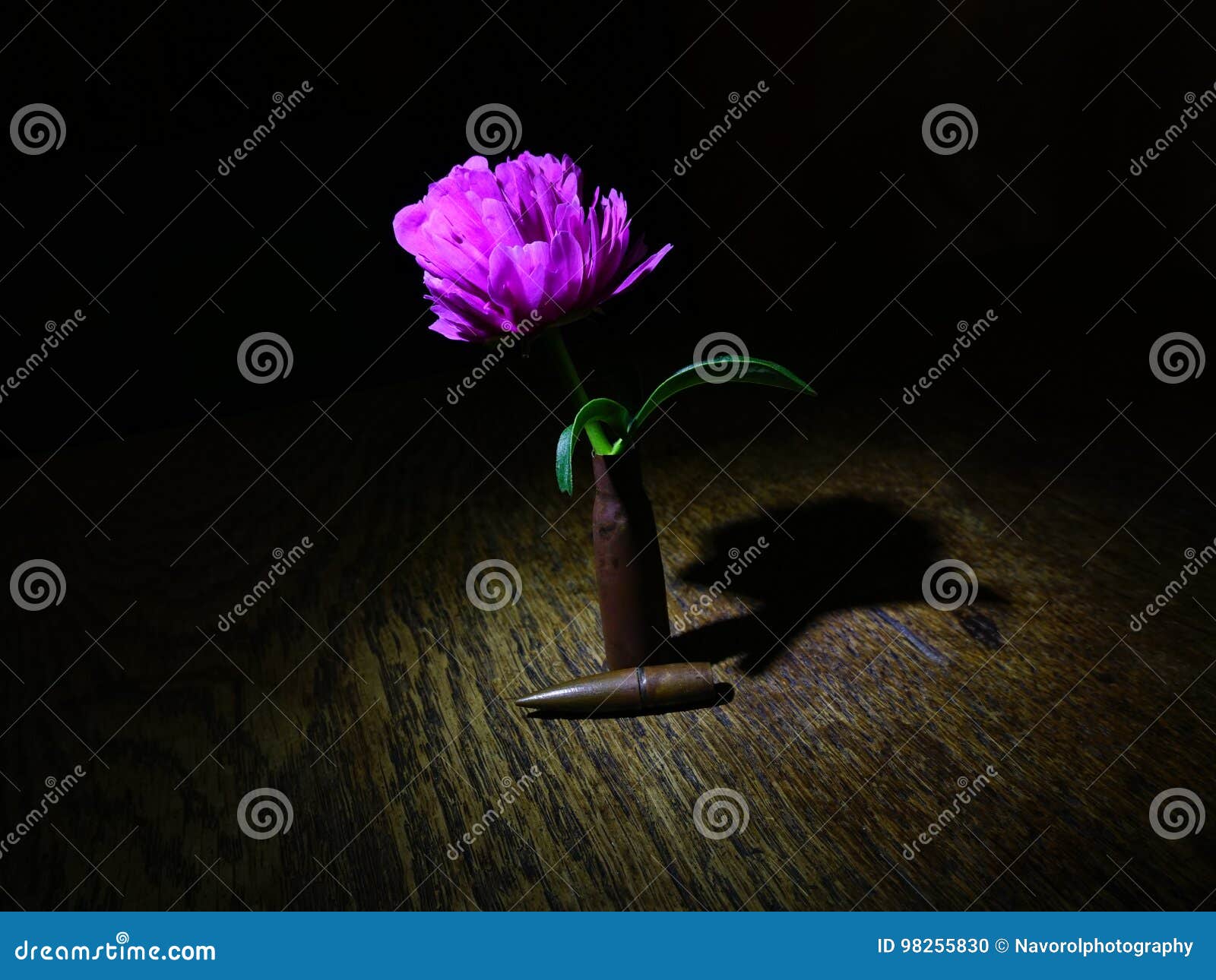 Flower and Bullet stock photo. Image of caliber, army - 98255830