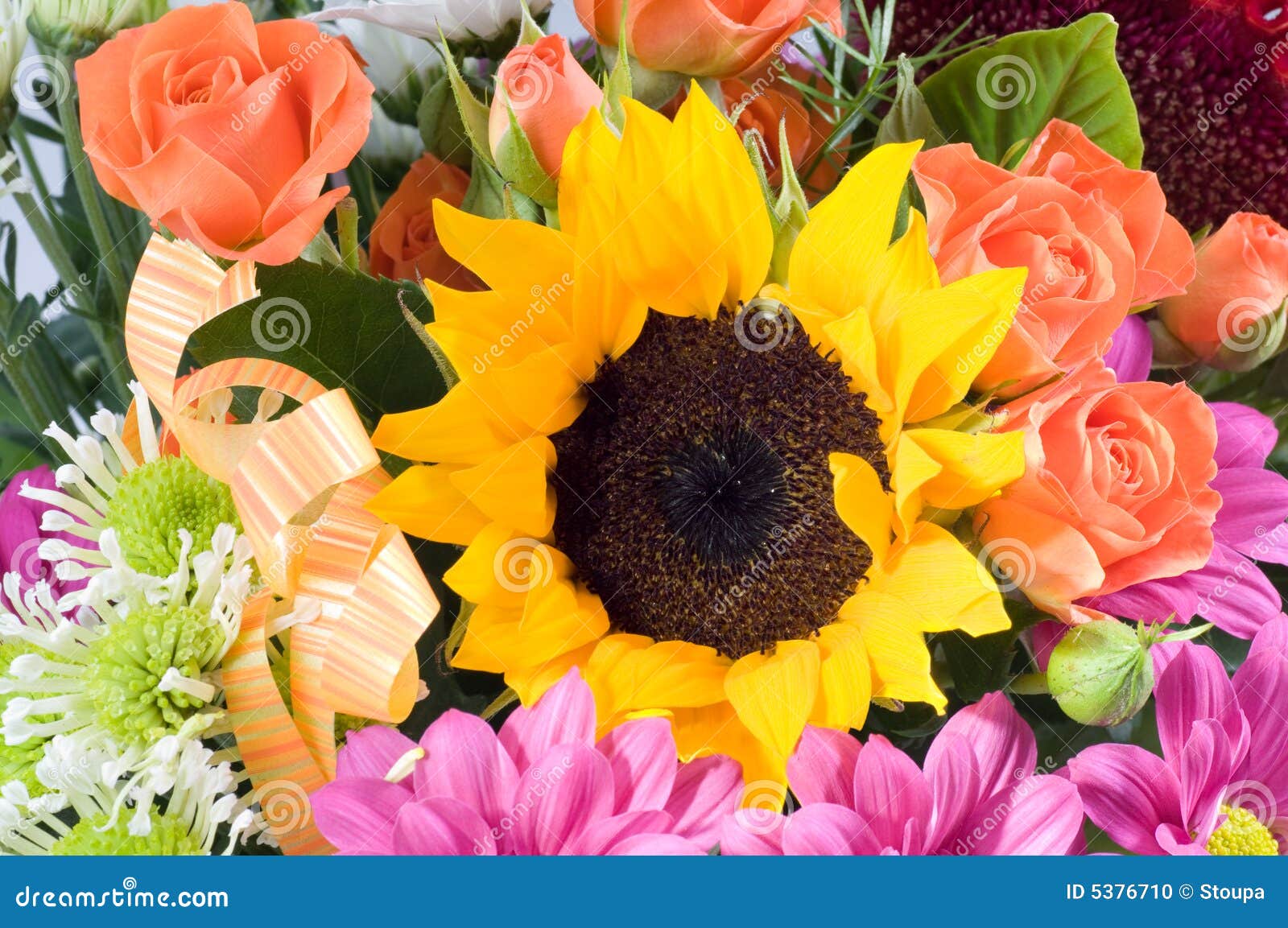 Flower bunch stock photo. Image of pink, gentle, detail - 5376710