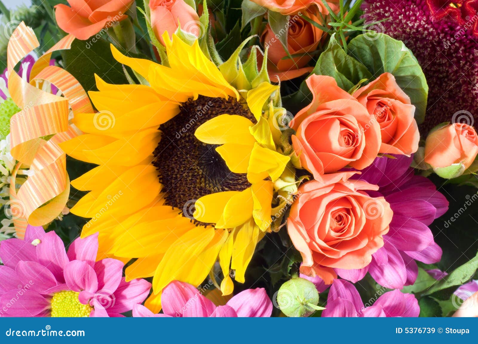 Flower bunch stock image. Image of gentle, spray, sunflower - 5376739