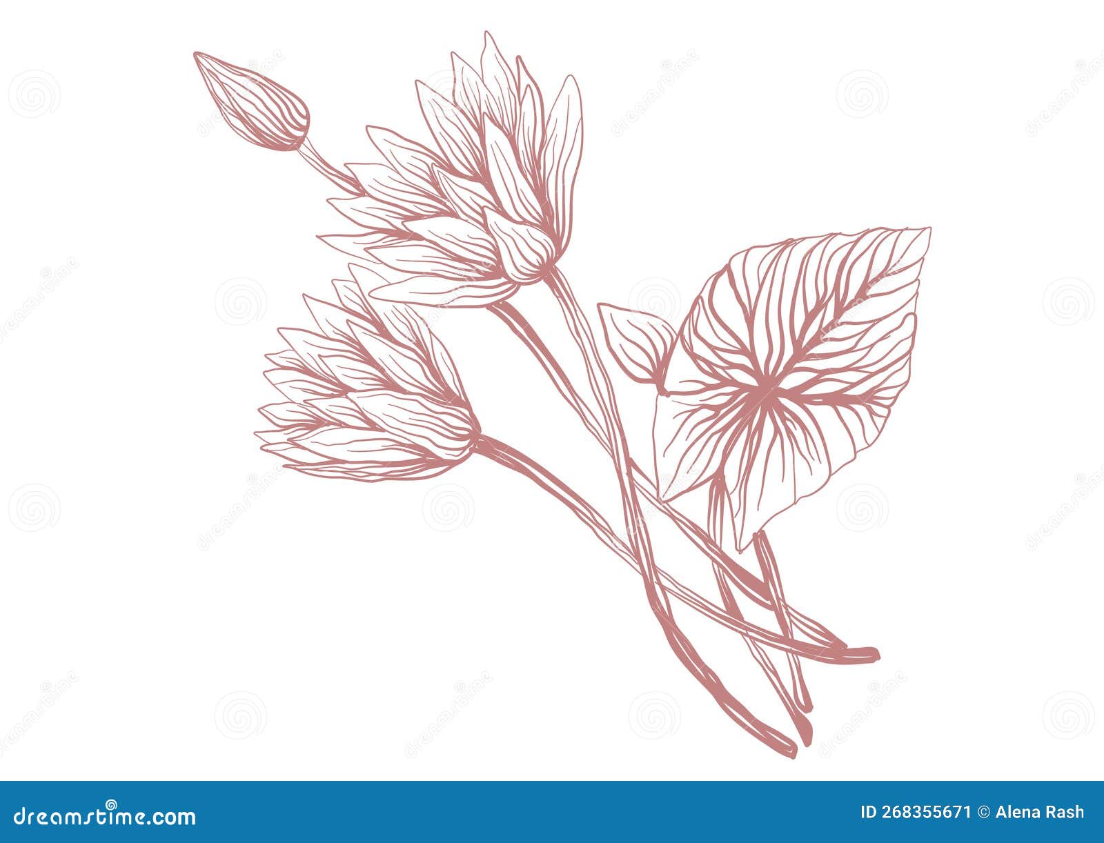 Flower Bunch Vector Elements Illustration Collection Line Art Design ...