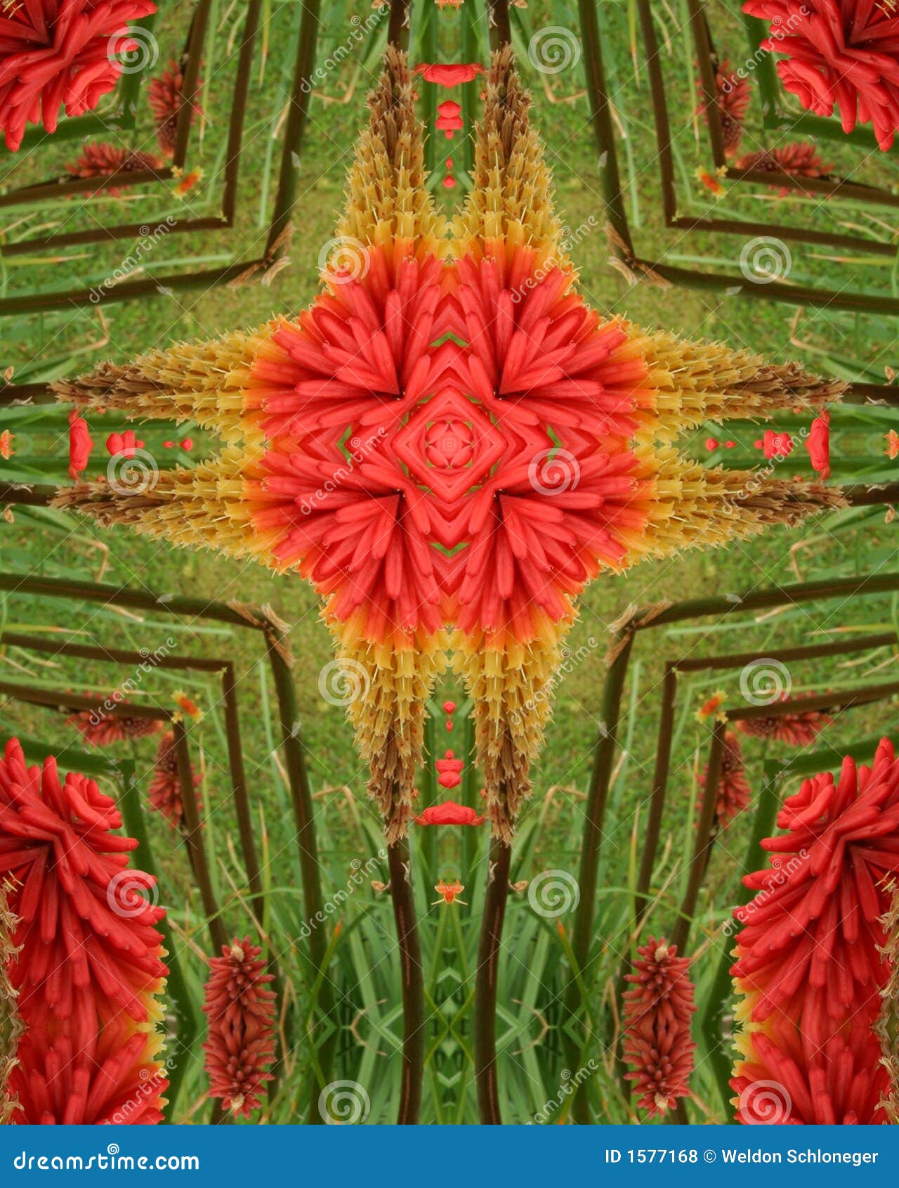 Flower burst cross stock illustration. Illustration of crux - 1577168