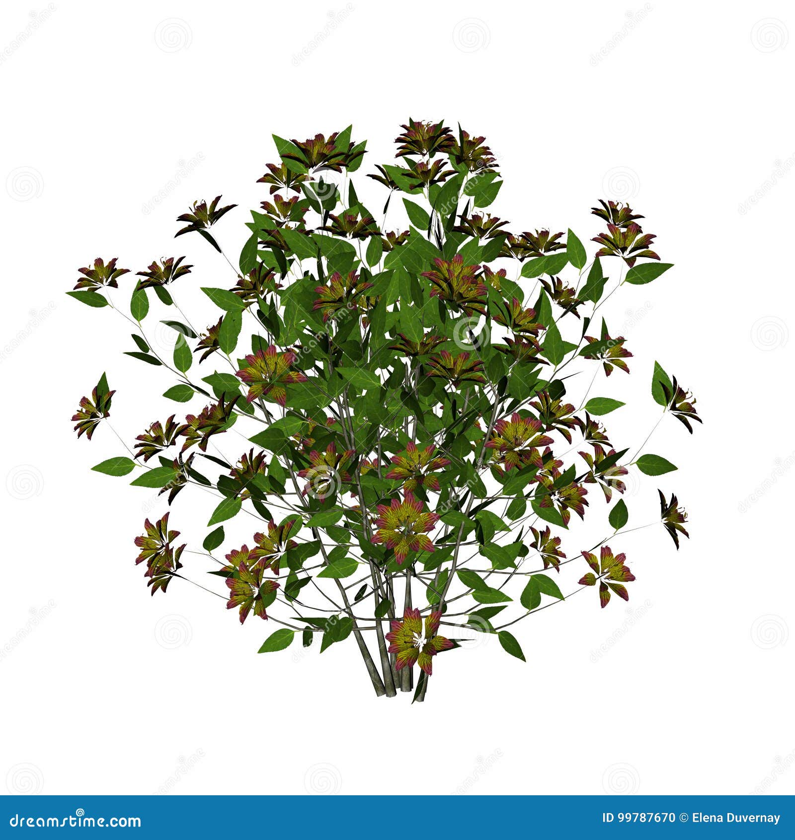 Flower bush - 3D render stock illustration. Illustration of summer ...