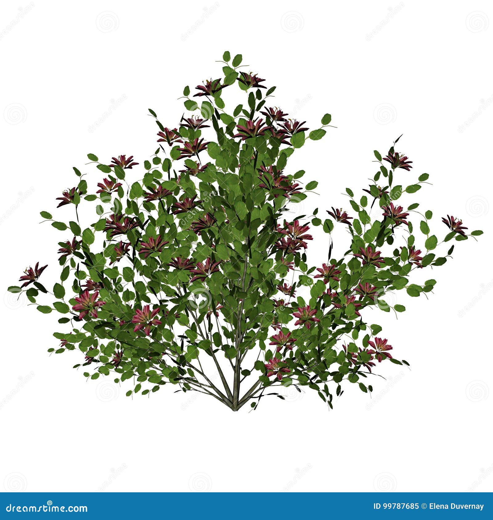 Flower bush - 3D render stock illustration. Illustration of branch ...