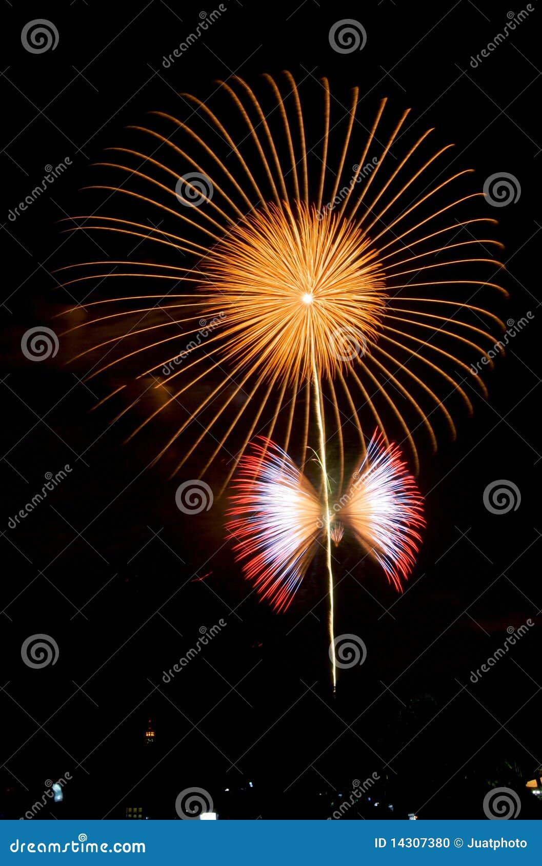 Flower and Butterfly Firework Stock Photo - Image of night, celebration ...