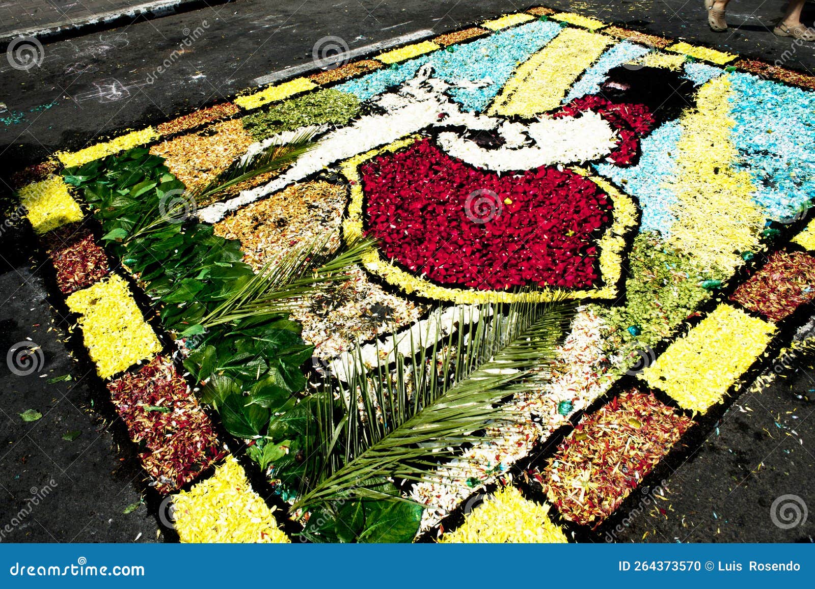 Flower Carpet- 2019-cusco City Full Frame Peru Editorial Image - Image ...