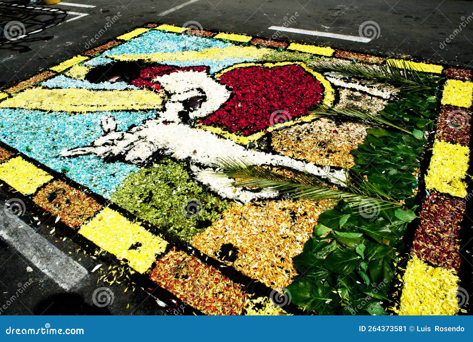 Flower Carpet- 2019-cusco City Full Frame Peru Editorial Photo - Image ...