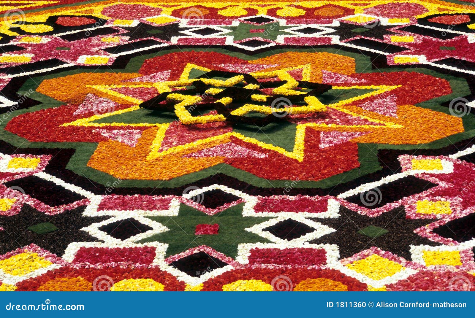 Flower carpet detail stock photo. Image of decoration - 1811360