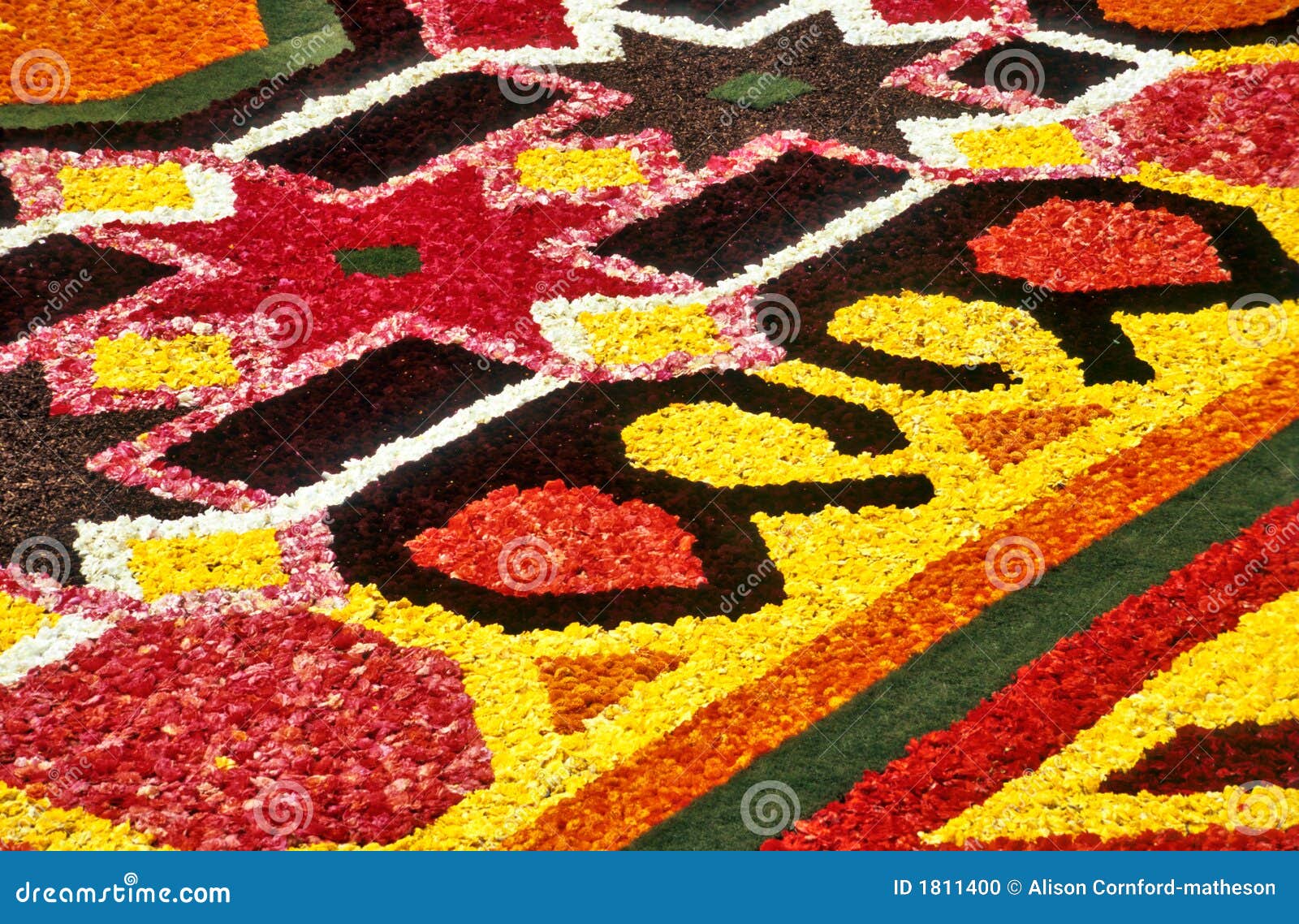 Flower carpet detail stock photo. Image of ornate, carpet - 1811400