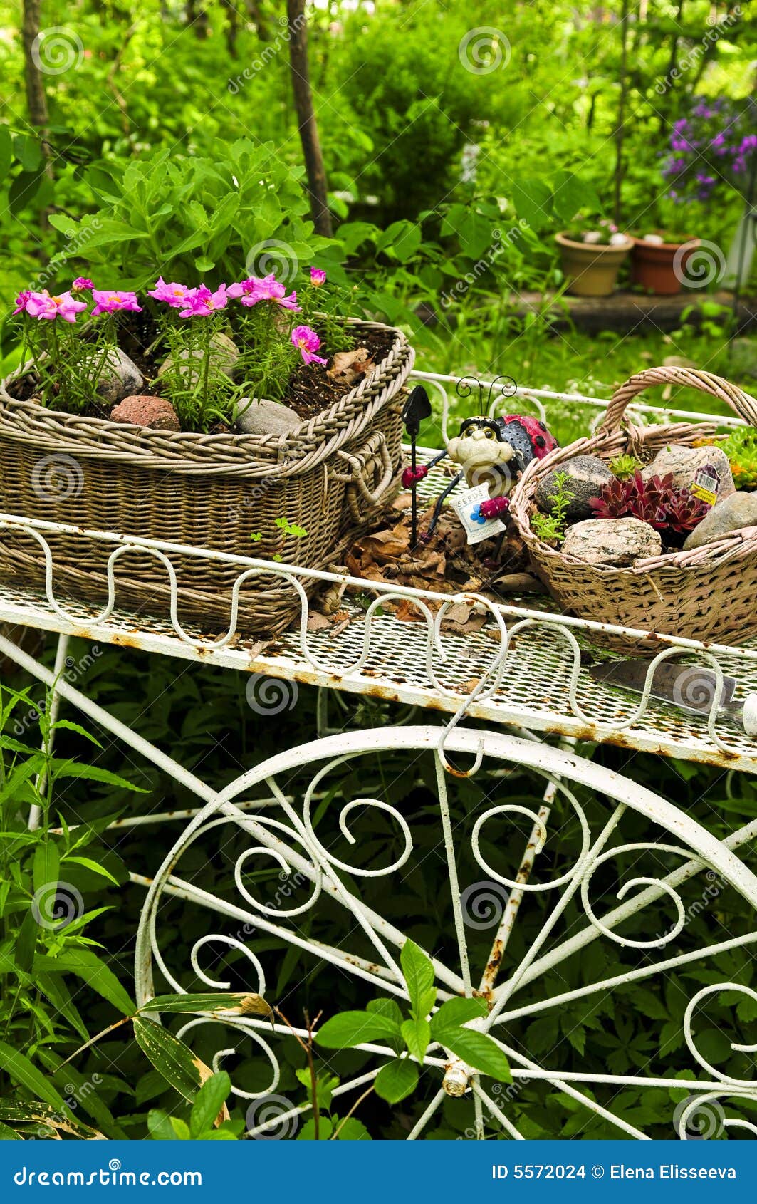 Flower cart in garden stock photo. Image of blooming, peace - 5572024