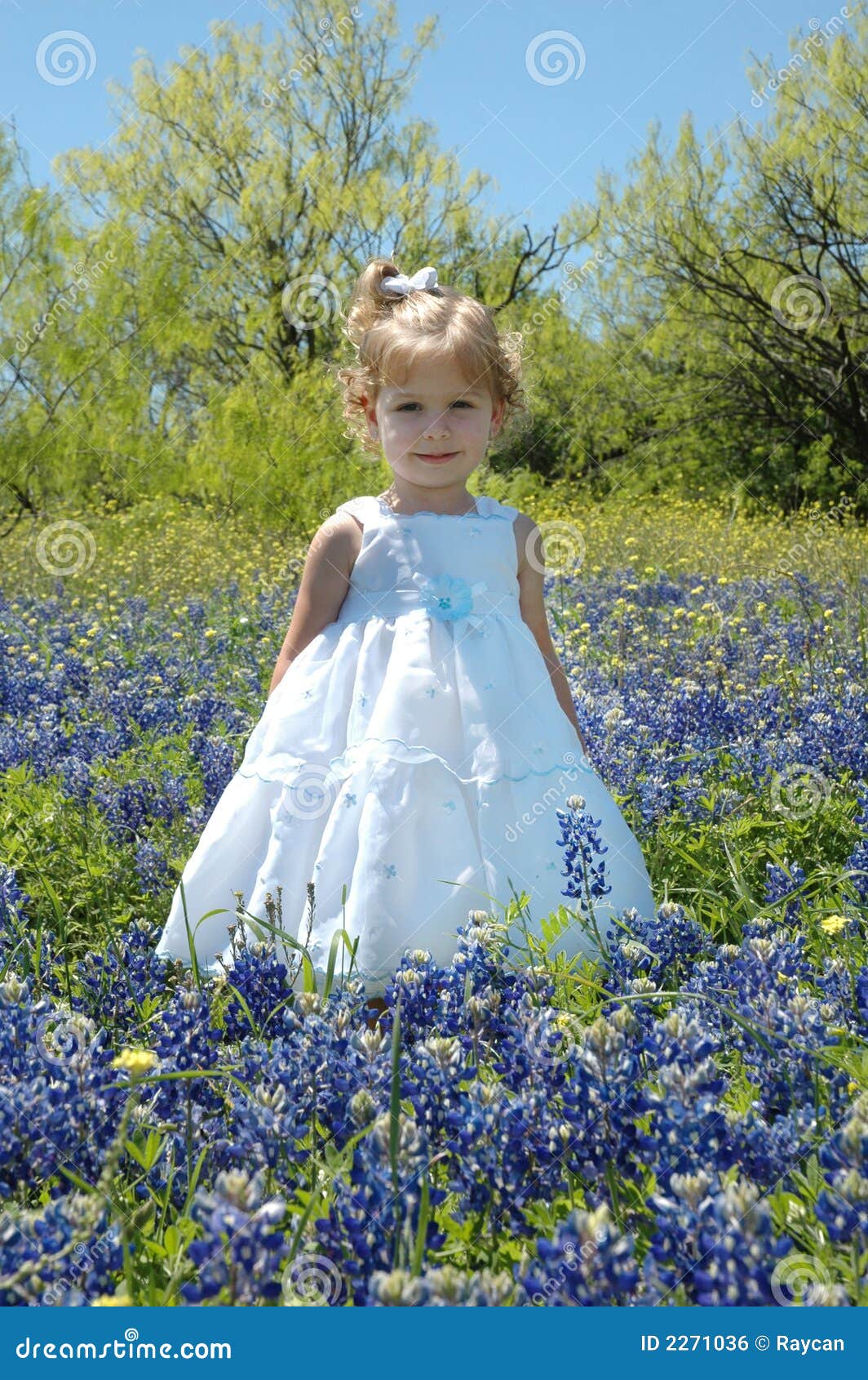 Flower Child stock photo. Image of meadow, mommy, horizon - 2271036