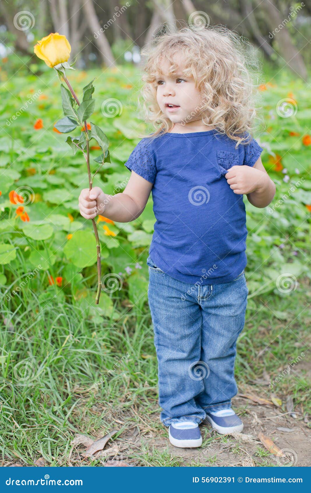 Flower child stock image. Image of rose, forest, motherhood - 56902391