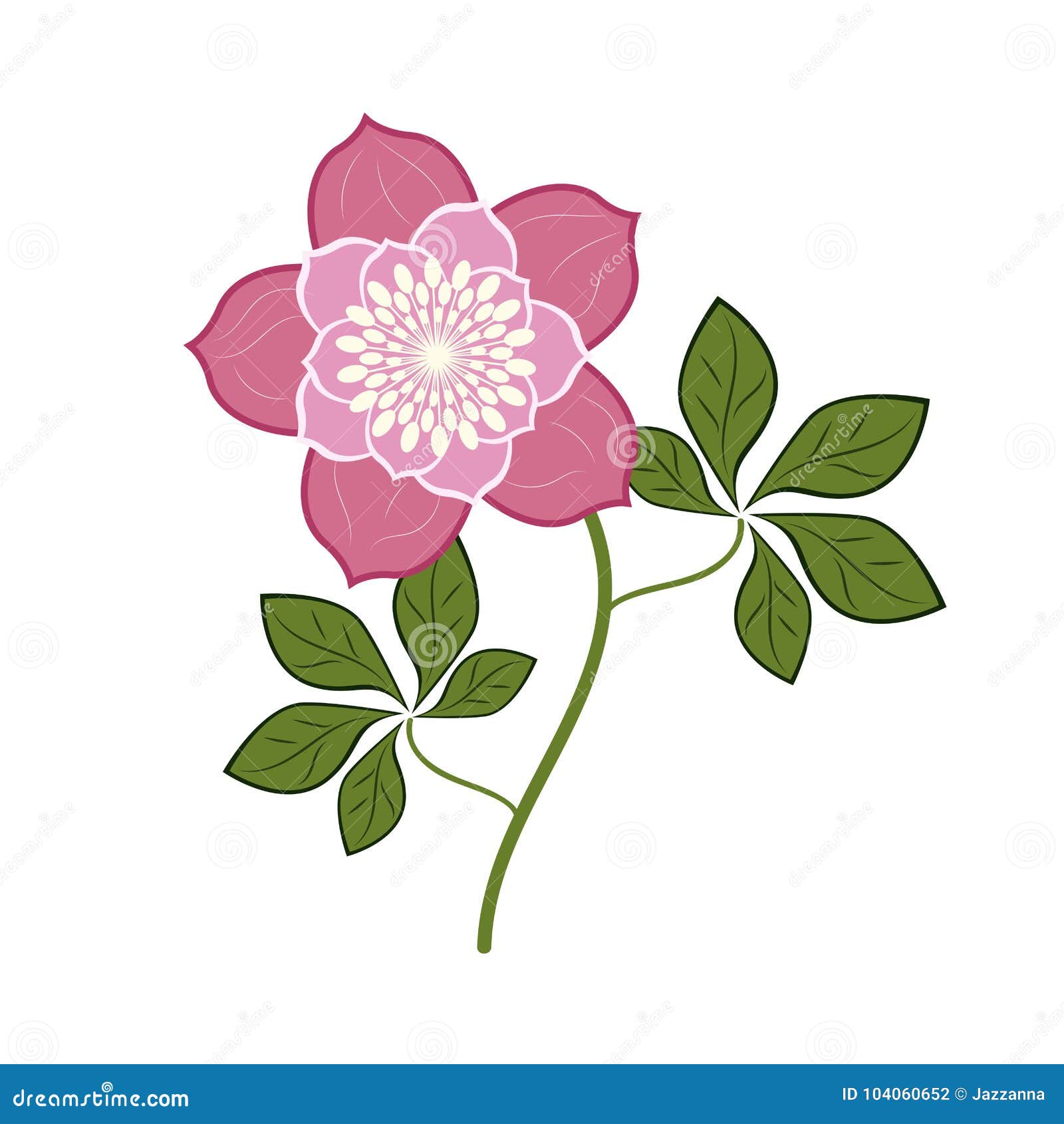 Flower Christmas rose pink stock vector. Illustration of flowers ...