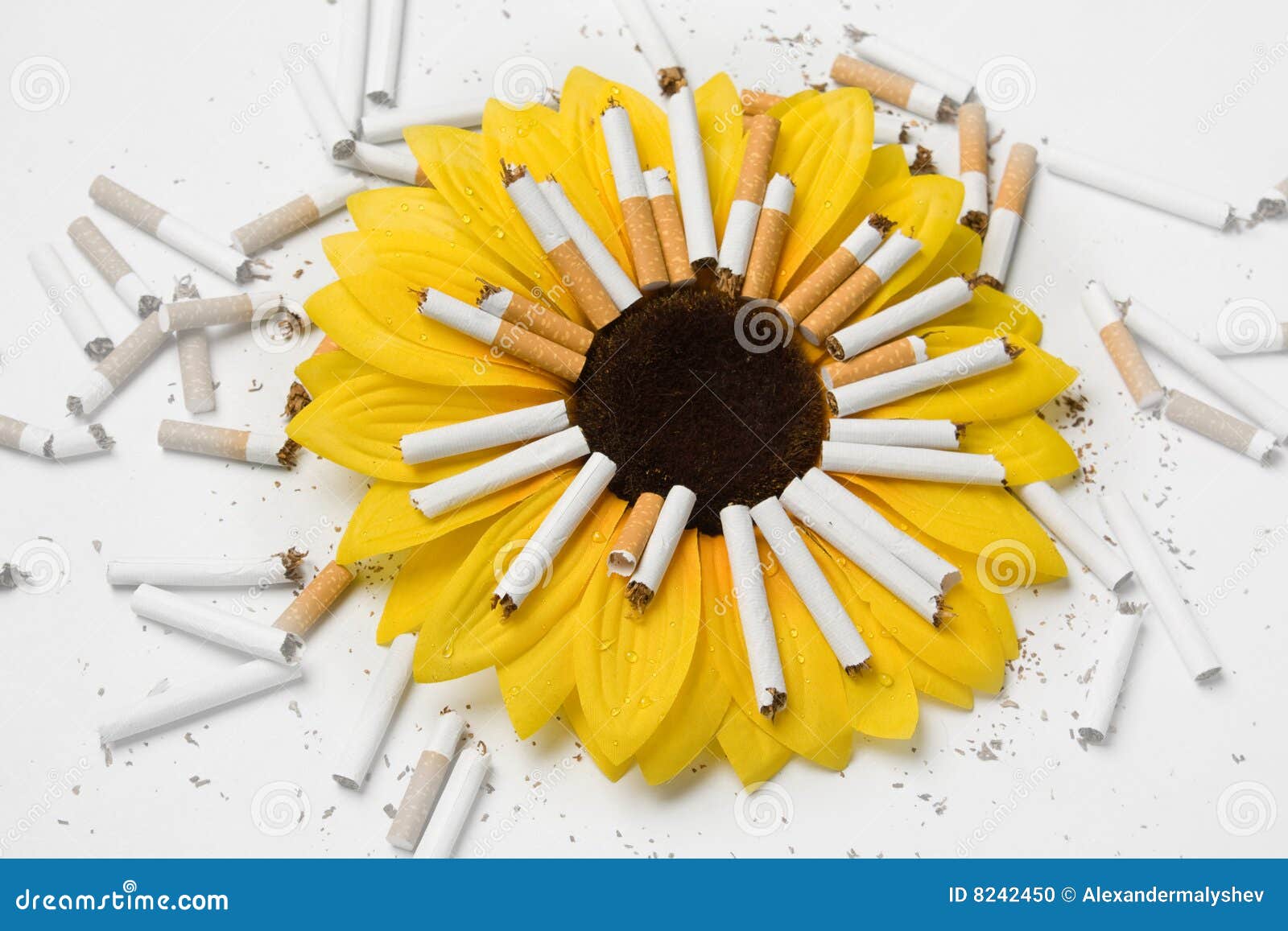 Flower & cigarets stock photo. Image of health, cigarets - 8242450