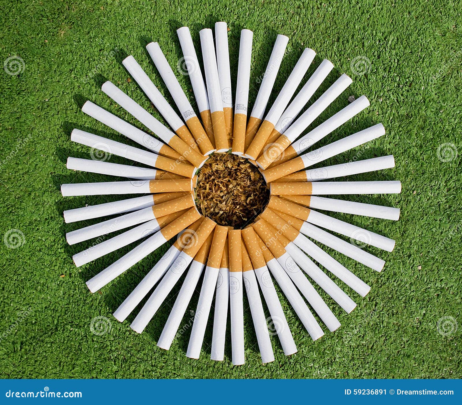 Flower cigarettes stock image. Image of living, unhealthy - 59236891