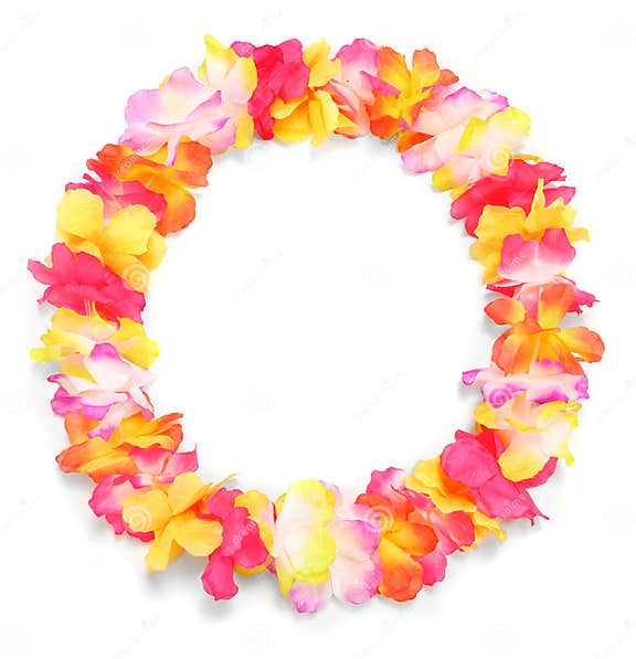 Flower circle. stock illustration. Illustration of flowers - 26574725