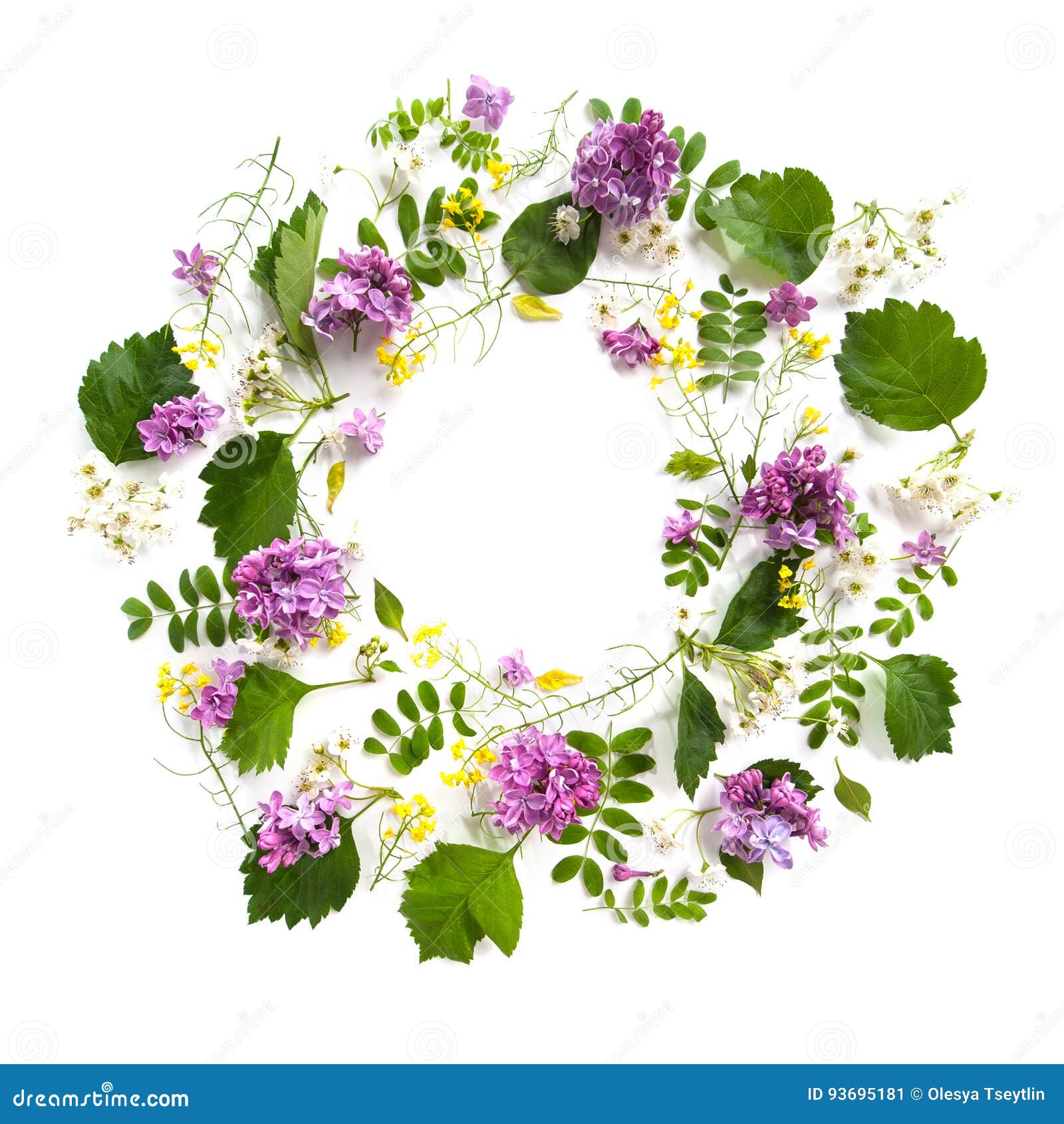 Flower Circle of Different Leaves and Lilac on a White Background with ...