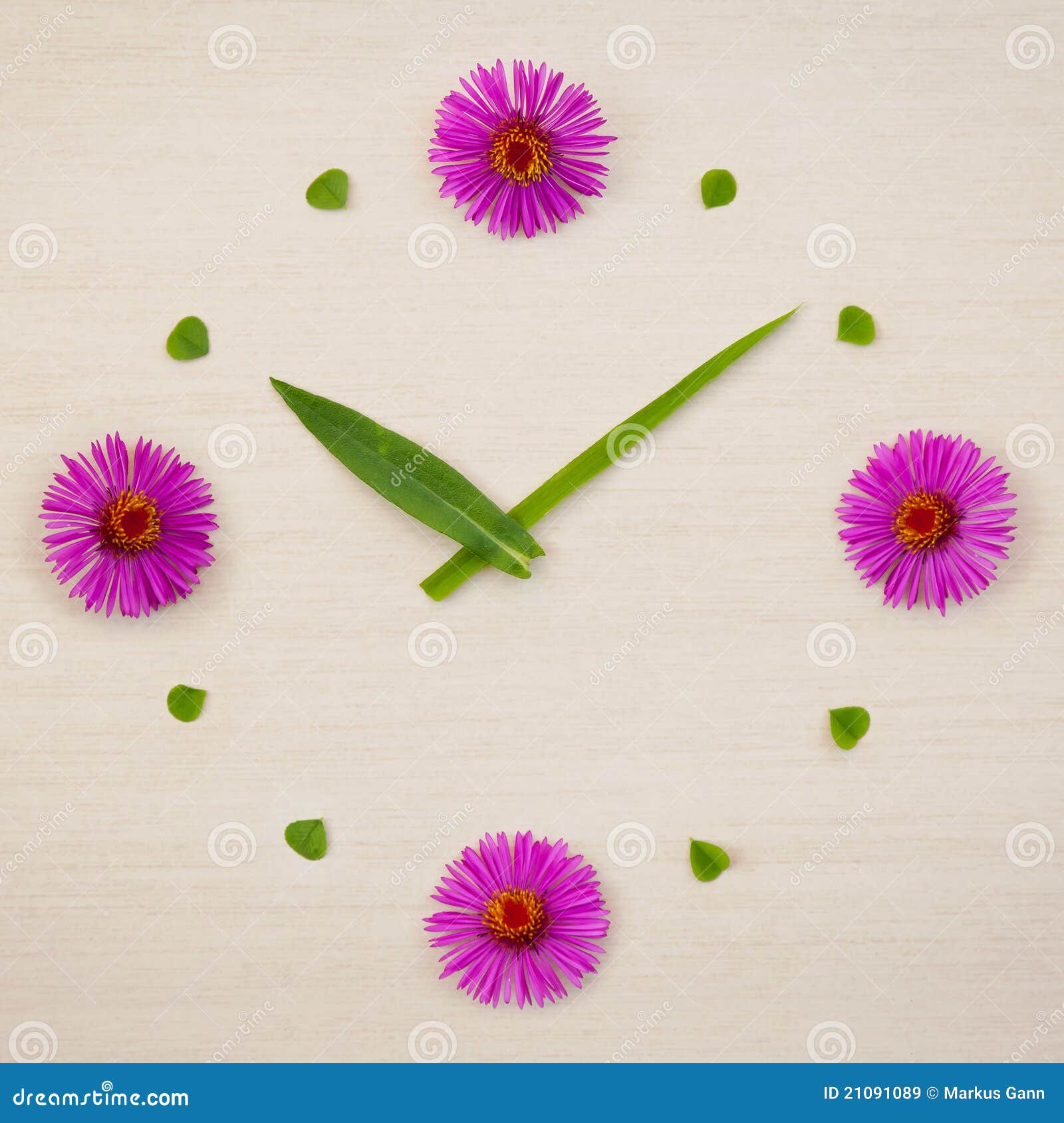 Flower clock stock image. Image of minute, nature, blossom - 21091089