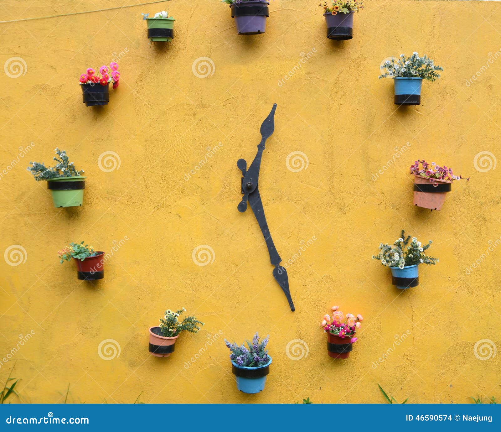 Flower clock stock photo. Image of natural, flora, growth - 46590574