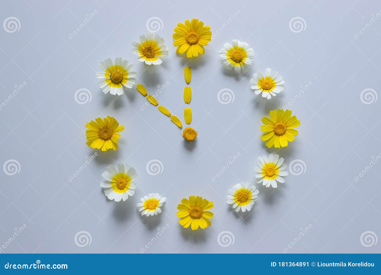 Flower Clock Made of White and Yellow Daisies on a Light Background ...