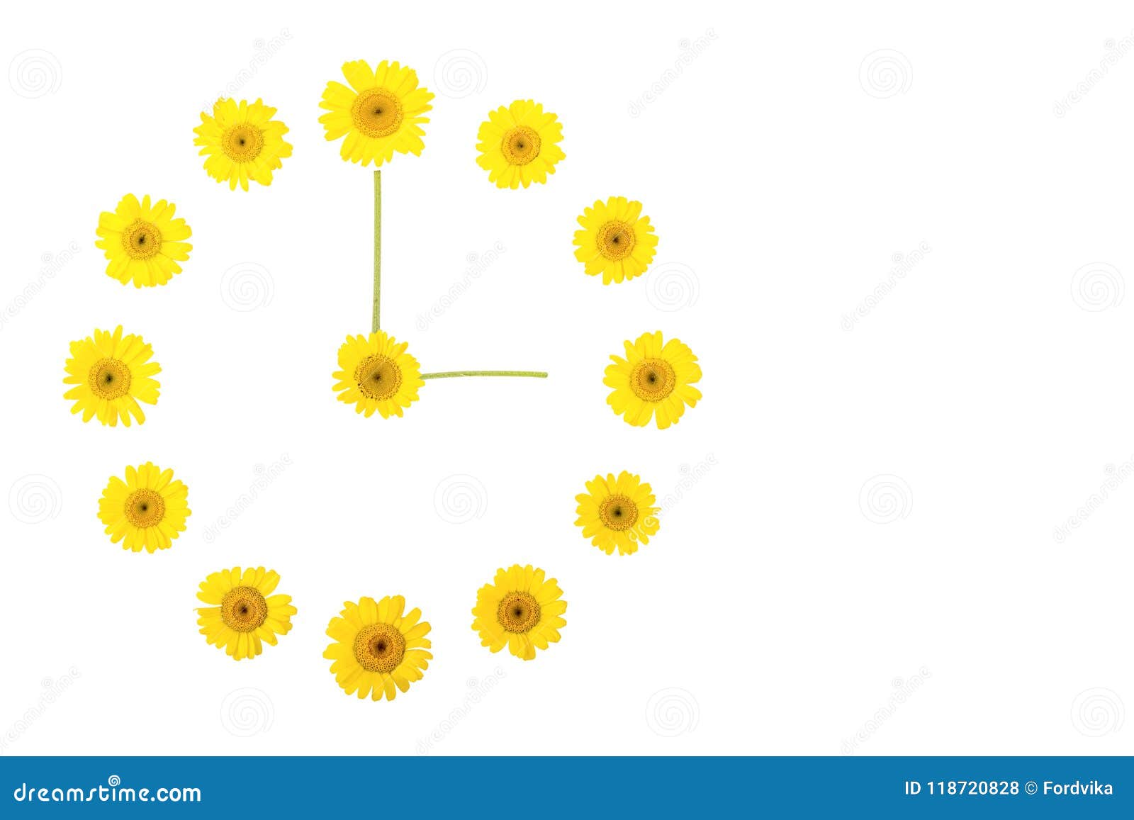 Flower Clock Showing the Time of 3 Hours Stock Photo - Image of daisies ...
