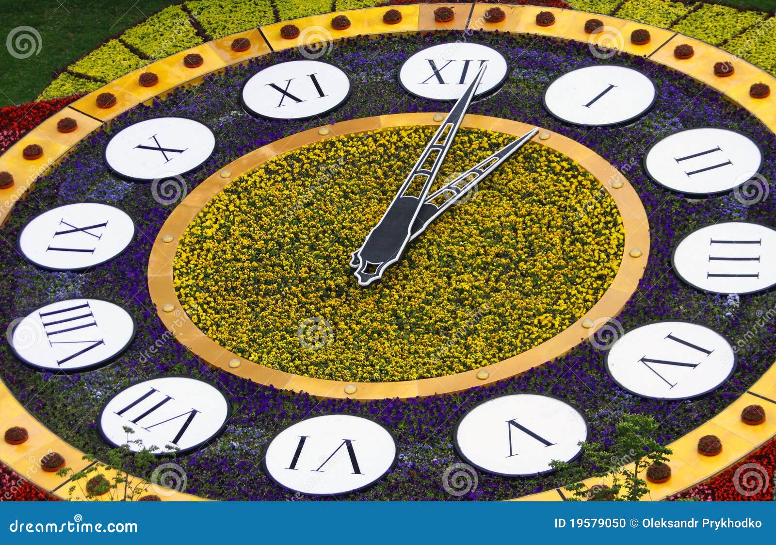 Flower clocks editorial image. Image of bloom, diameter - 19579050