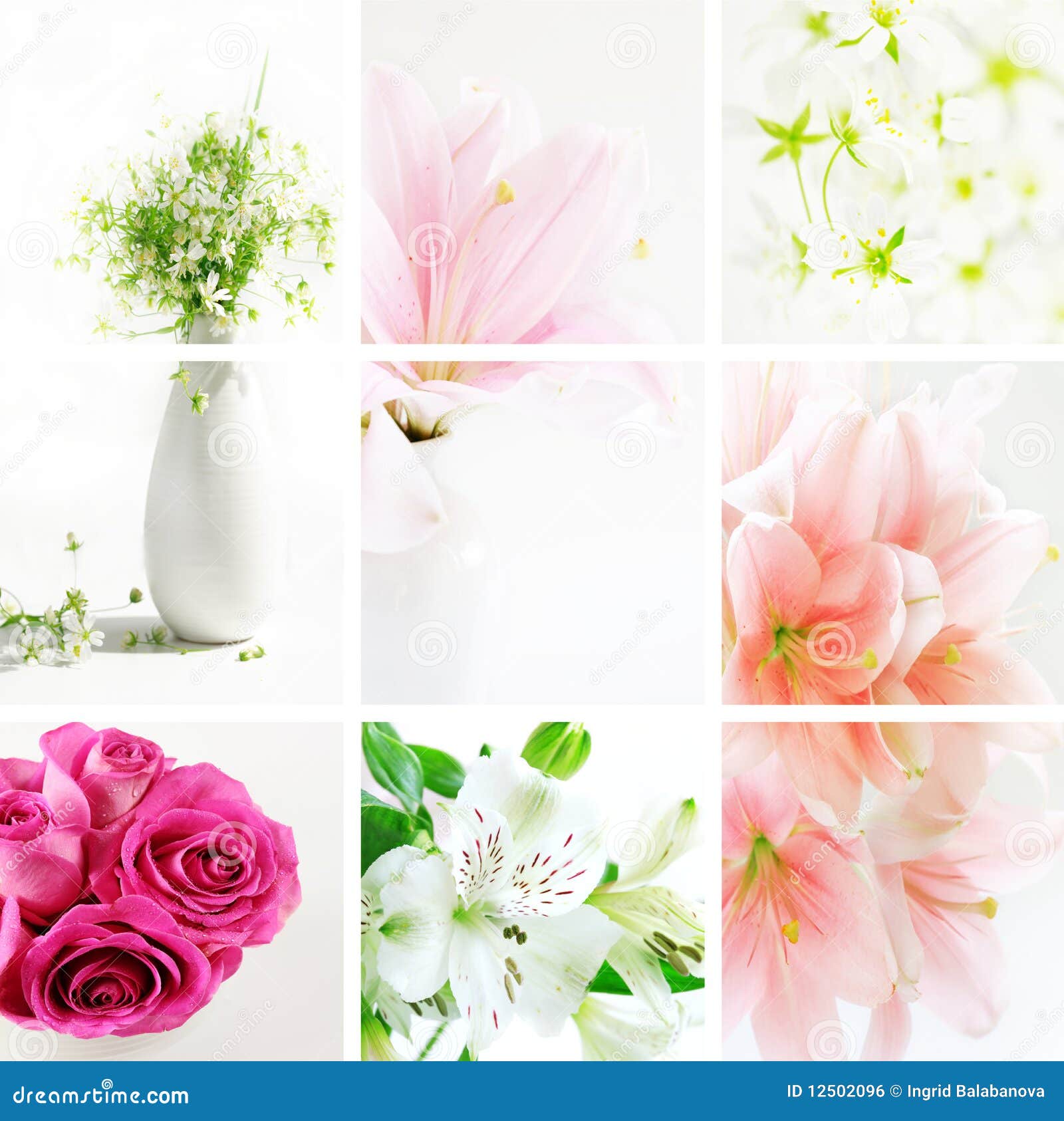 Flower collage stock photo. Image of blossom, nature - 12502096