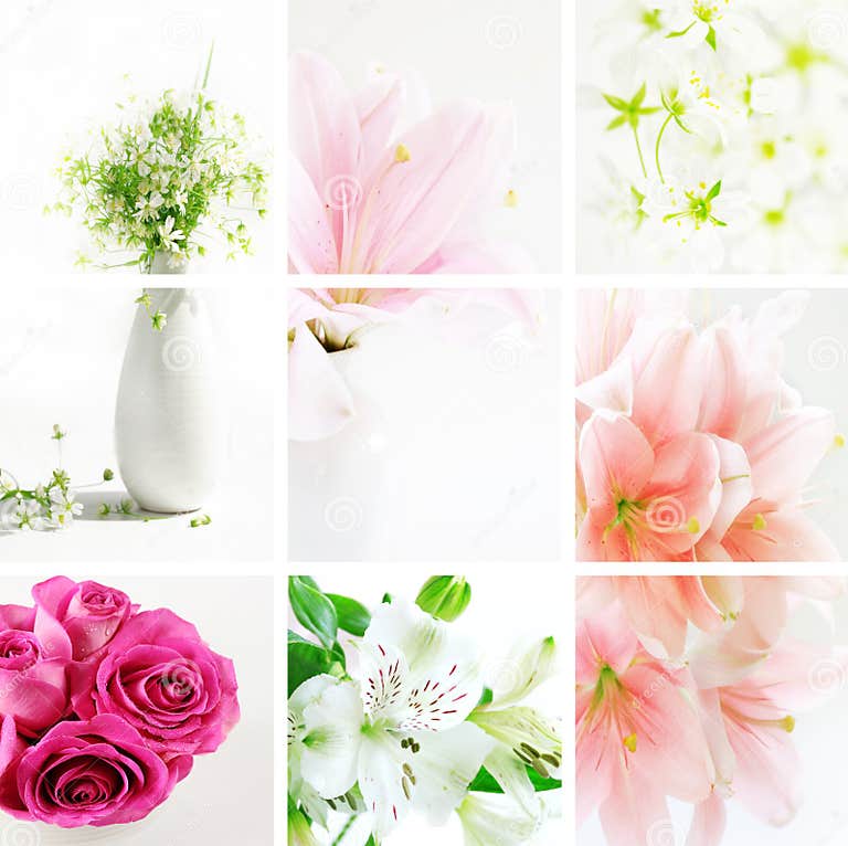 Flower collage stock photo. Image of blossom, nature - 12502096