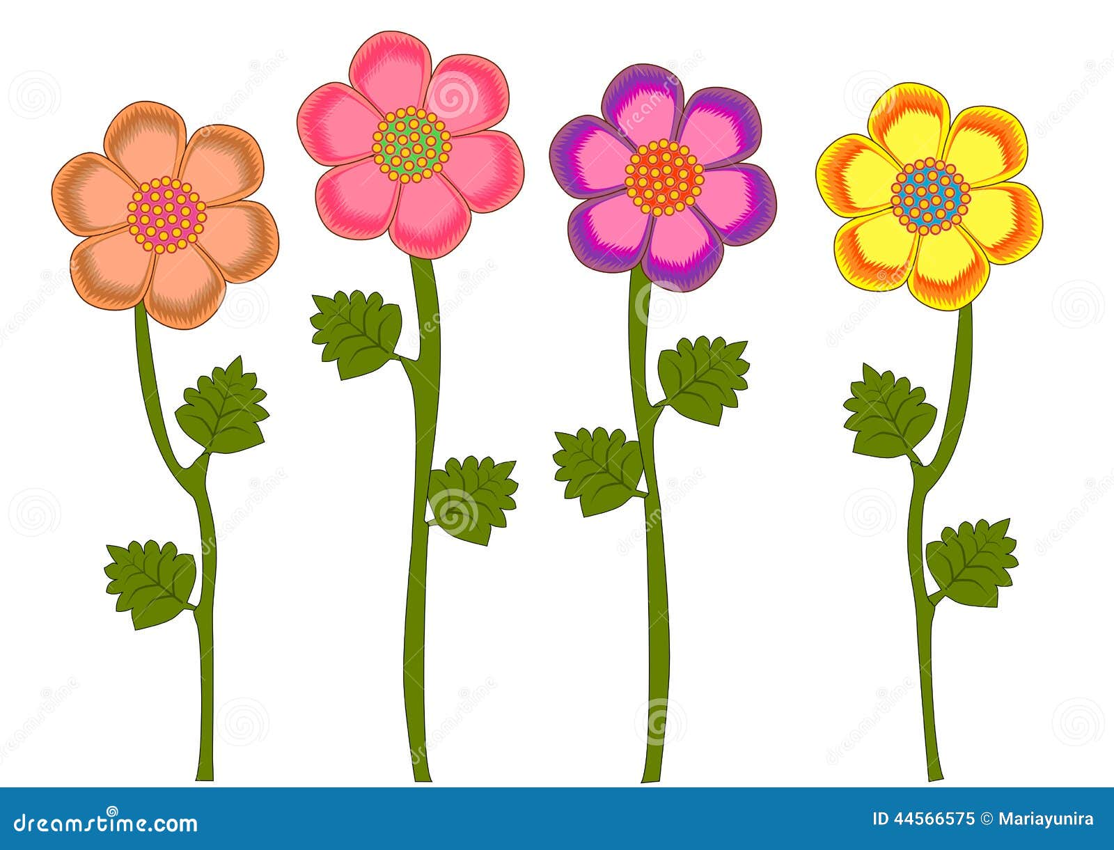 Flower Collection. Multicolored Inflorescences Of A Flowering Plant ...