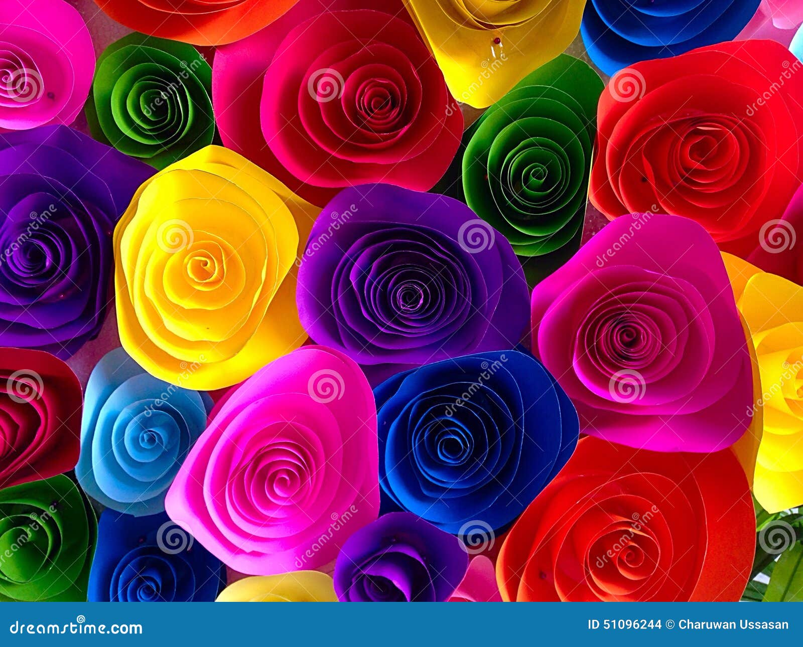 Flower of color stock photo. Image of roseflower, abstract - 51096244
