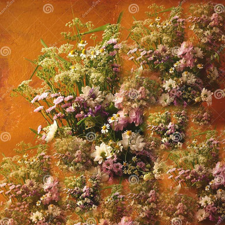 Flower composition stock image. Image of wildflower, wallpaper - 19181203