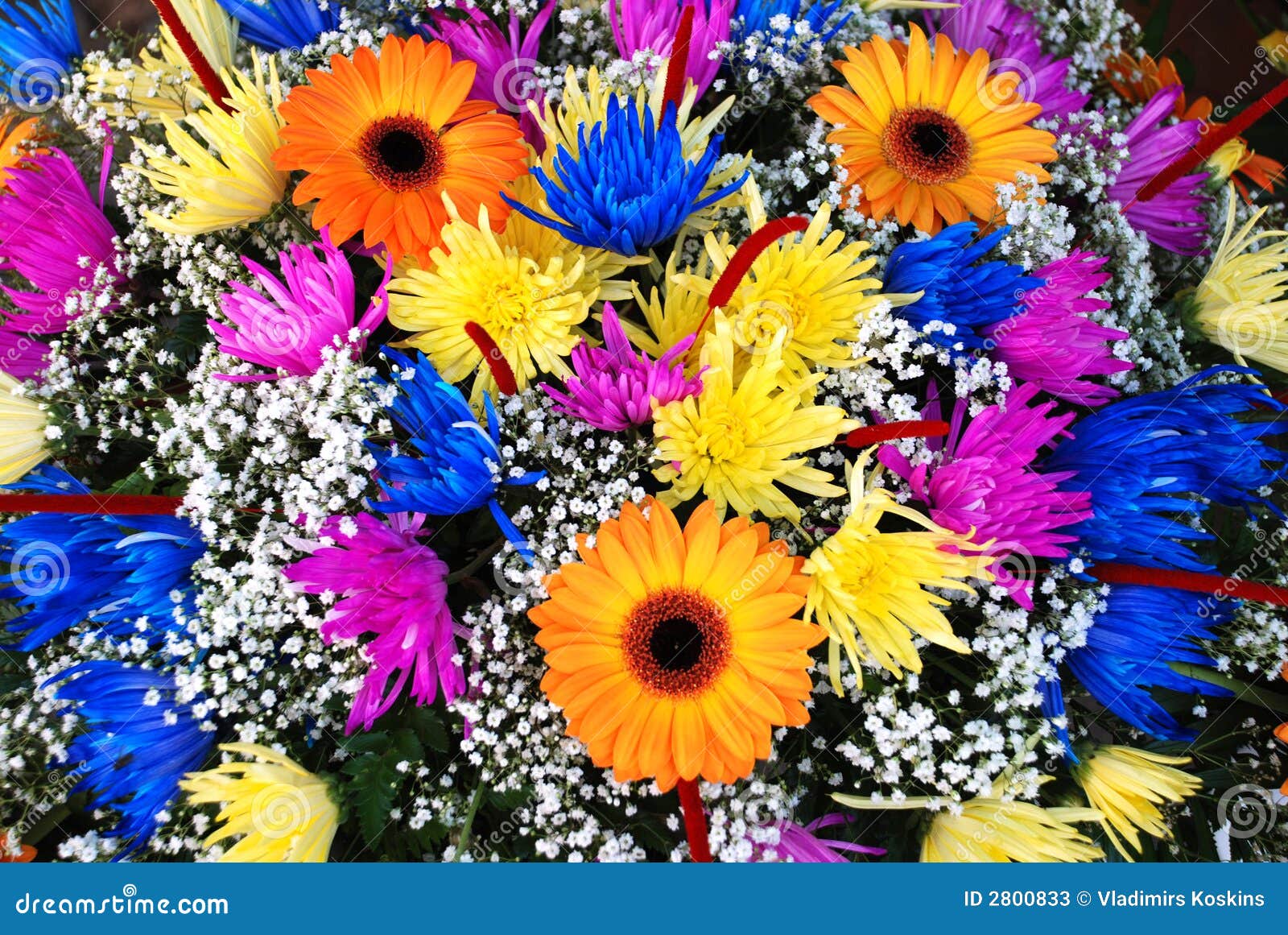 Flower composition stock image. Image of floral, perfume - 2800833