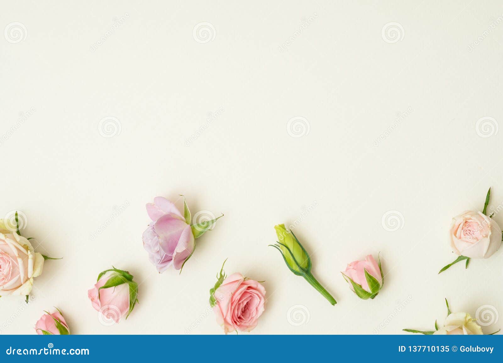 Flower Composition Assorted Rose Ivory Background Stock Image - Image ...